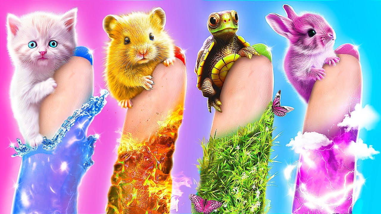 I Helped the 4 Elements Pets! Extreme Rescue in Real Life! - YouTube