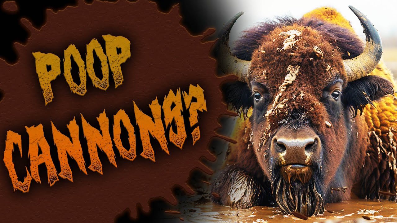 The Bonnacon: Wielding Poop as a Weapon - YouTube