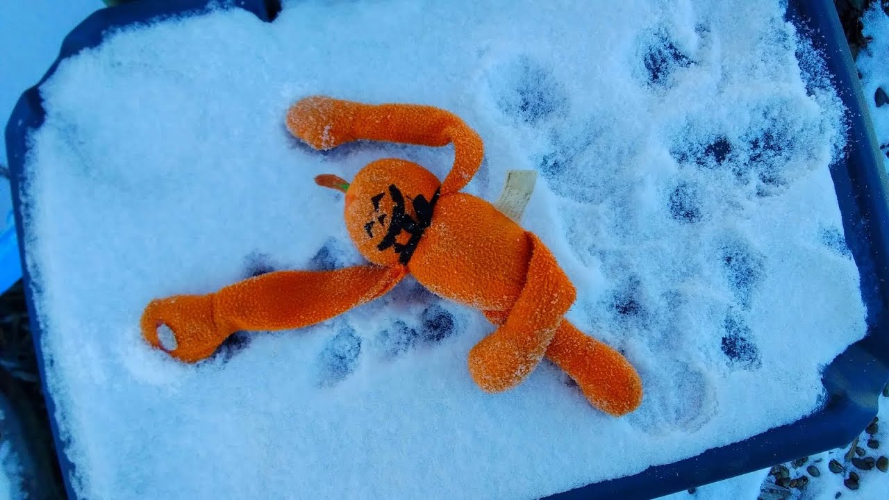 snow time part one - YouTube