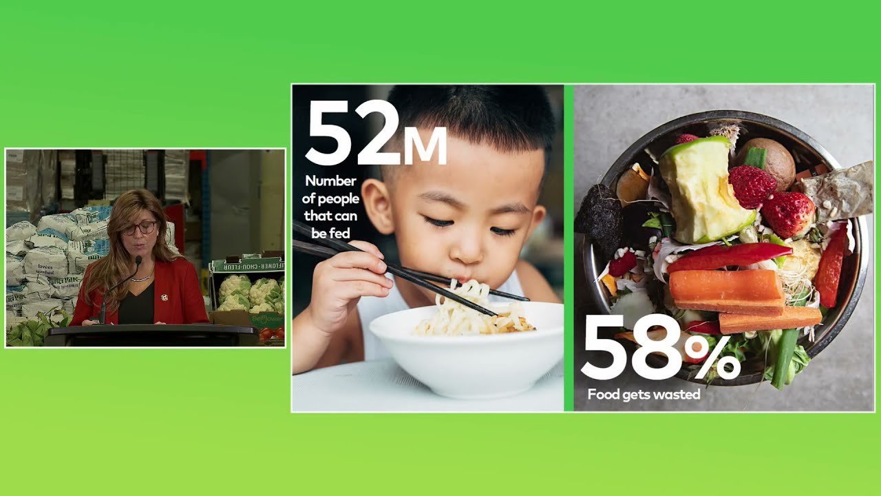 Launch of our Newest Research: Canada’s Invisible Food Network - YouTube