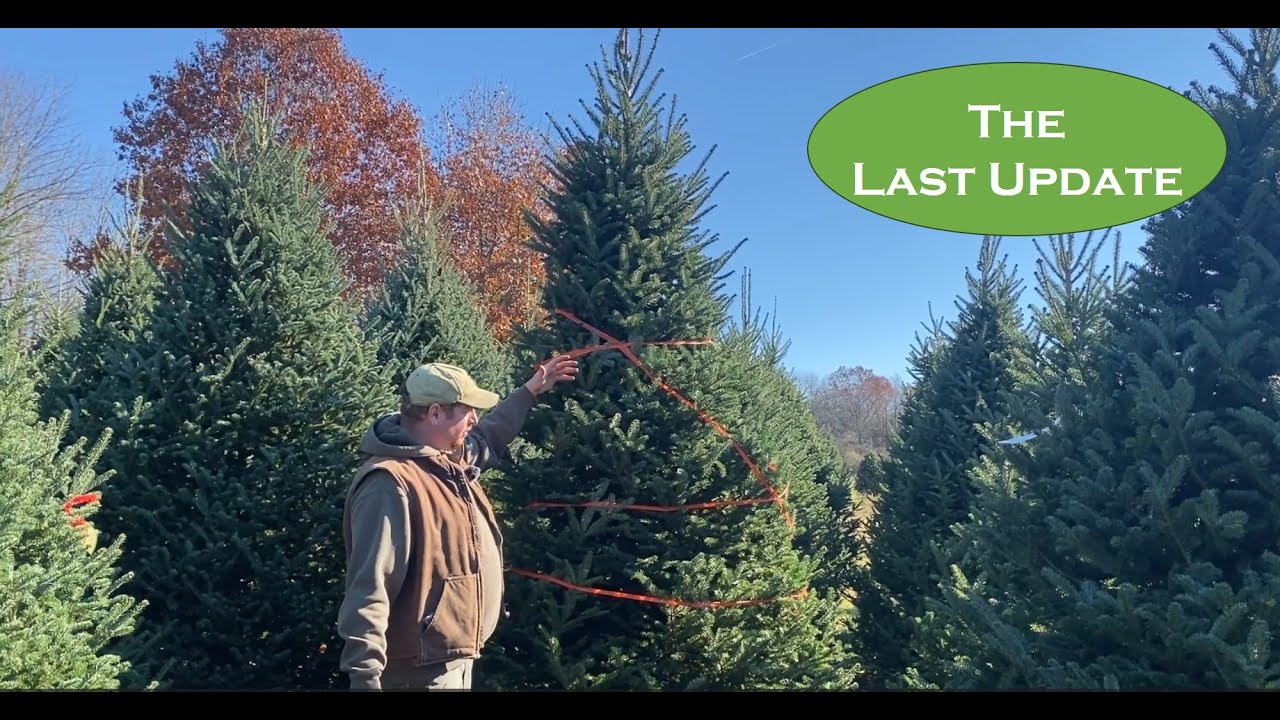 End of the Line for the long leader. Last update - YouTube