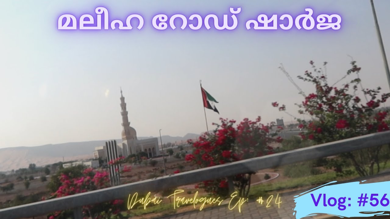 Exploring Maliha Road Sharjah UAE | Katta Support Dubai | Ep #56 - YouTube