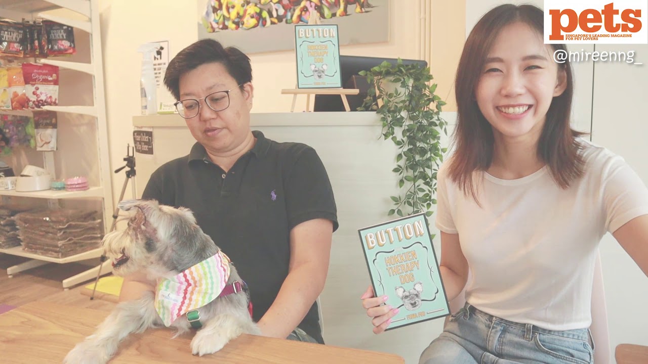 PETSmag X Button - The Hokkien Therapy Dog - YouTube