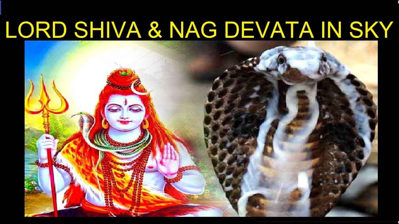 LORD SHIVA & NAG DEVATA APPEAR IN SKY - YouTube