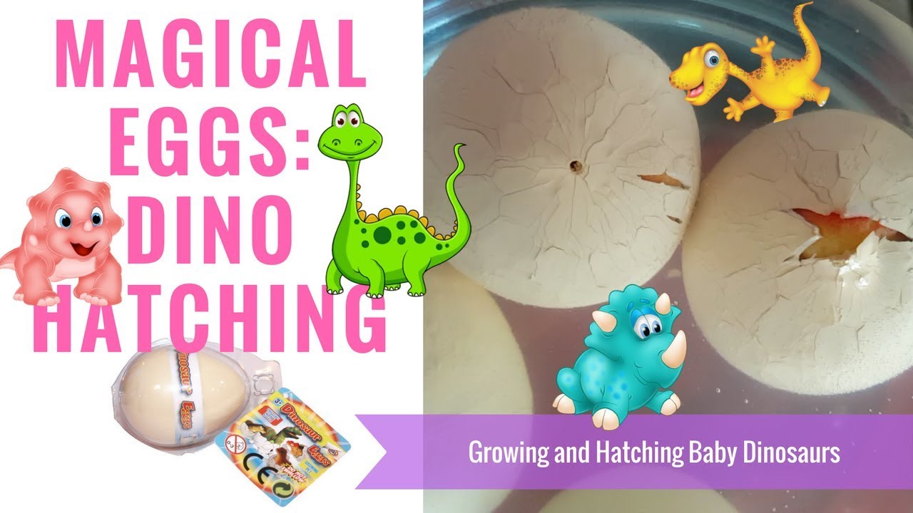 GROW AND HATCH A DINOSAUR | MAGICAL GROW EGG | We Hatch Baby Dinos in ...