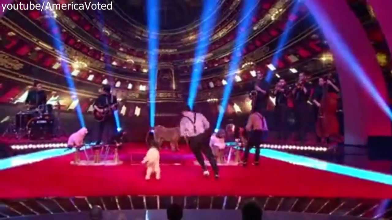 The Olate Dogs Finals - America got talent - AGT 2012 - YouTube