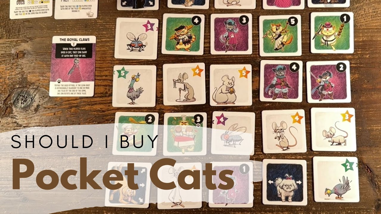 Should I Buy Pocket Cats - YouTube