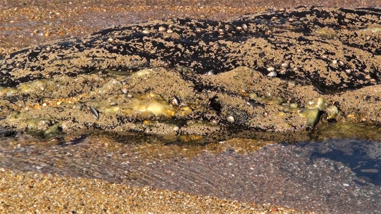 Relax - Water stream flowing into the sea on the beach - YouTube