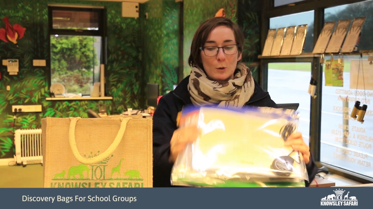 Discovery Bags - YouTube