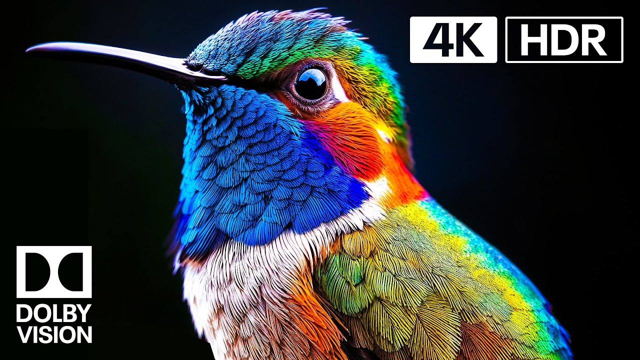 OUTSTANDING 😮 Dolby Vision 4K HDR 120FPS - 4K Video ULTRA HD - YouTube