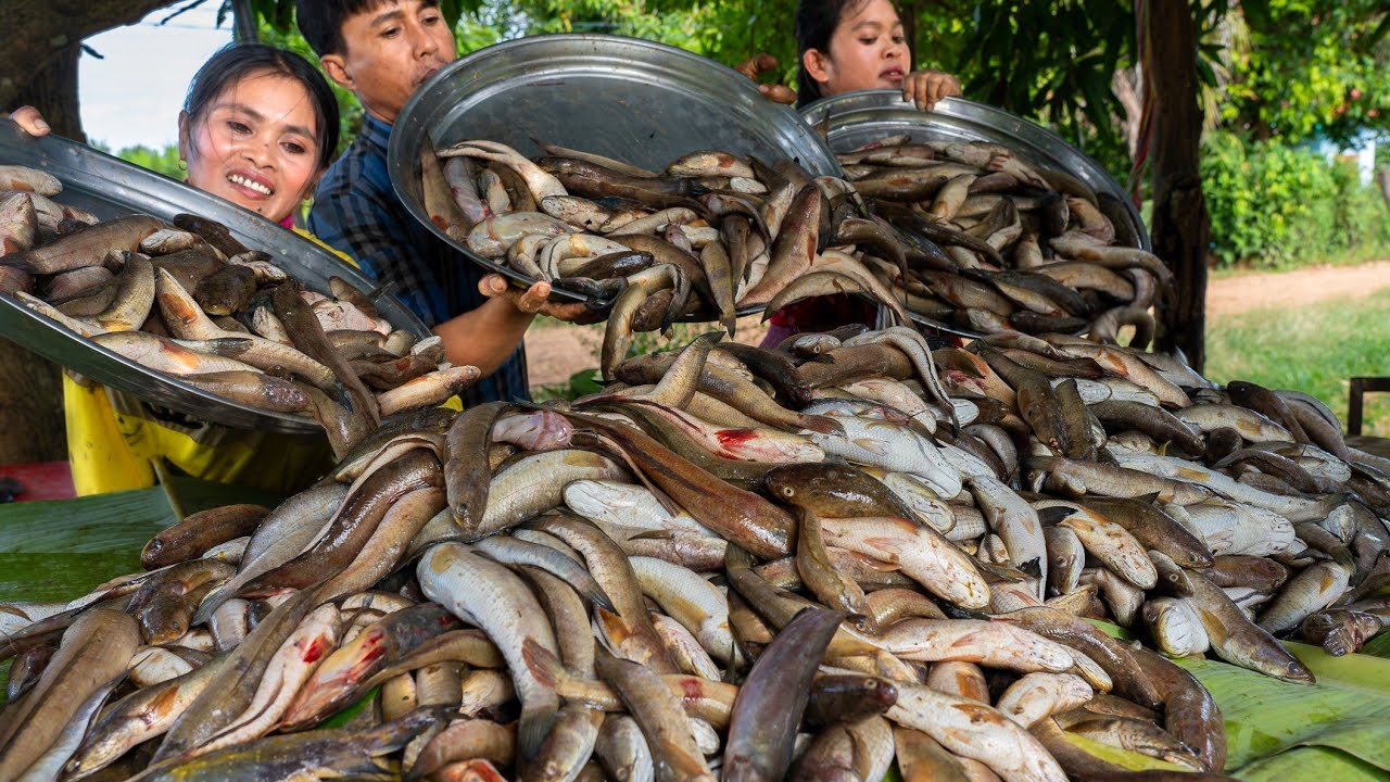 67 Days! Extra Long Process Making Traditional Fish Paste Bror Hok ...