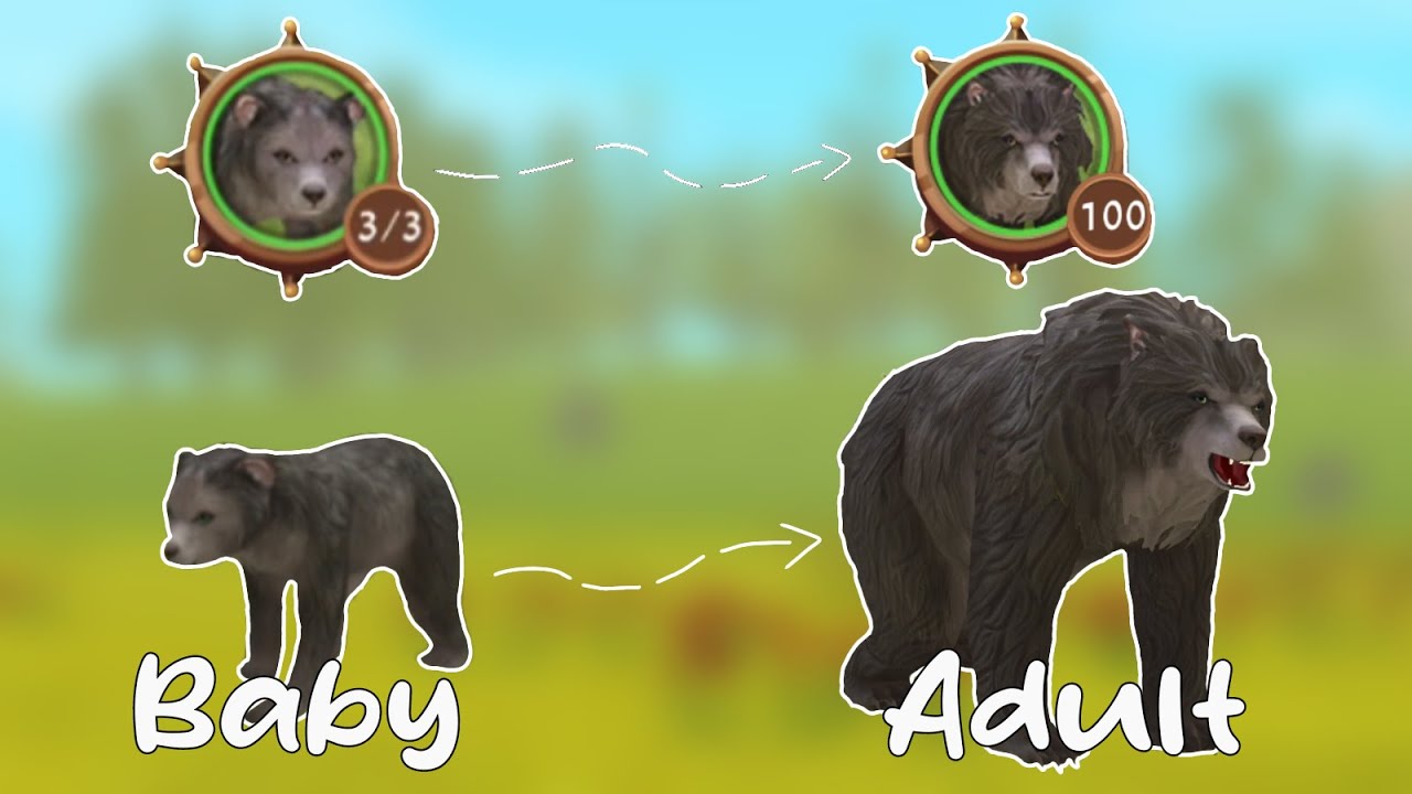 WildCraft level 1-100 Bear 🐻 | specjal 380sub | - YouTube