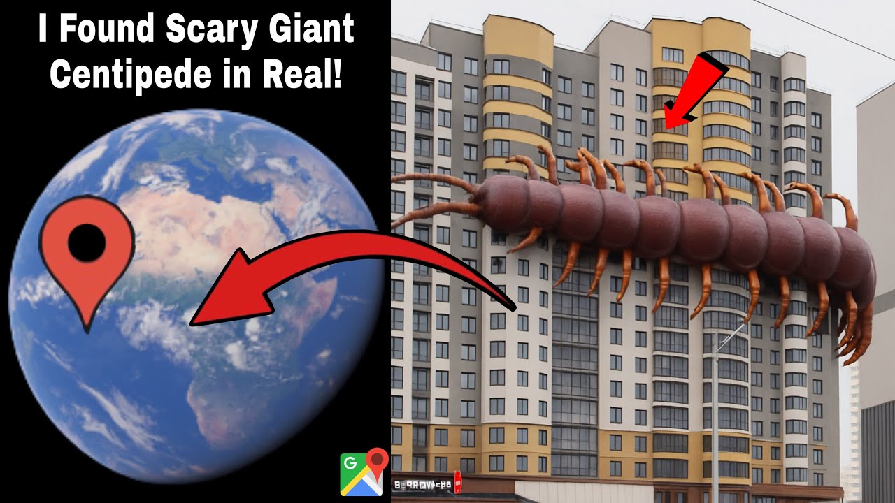 I Found Scary Giant Centipede in Real 😰 On Google Earth and Google Maps ...