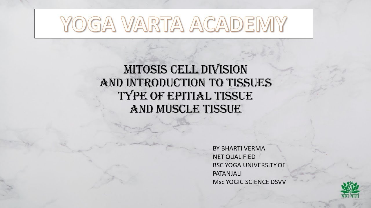 Mitosis Cell Division And Introduction To Tissues | Class 04 | Yogvarta ...