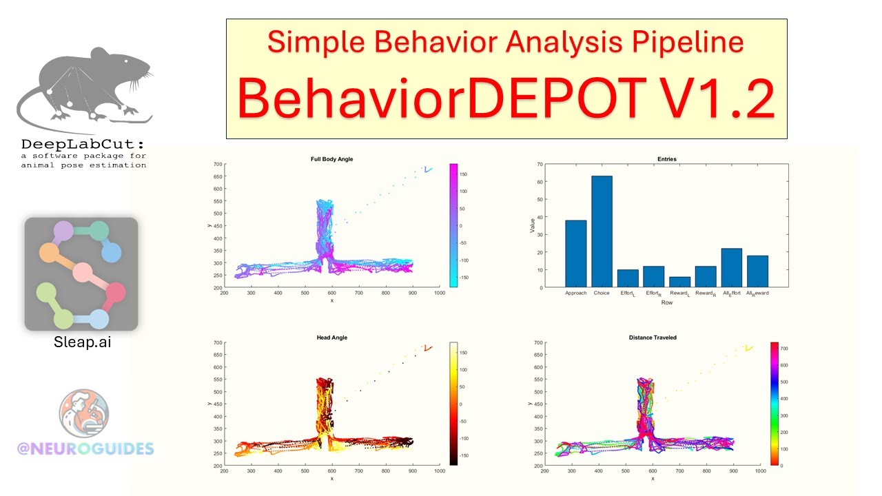Kinematics and Postural Statistics from DLC Data Using BehaviorDEPOT: (Part 1) - YouTube