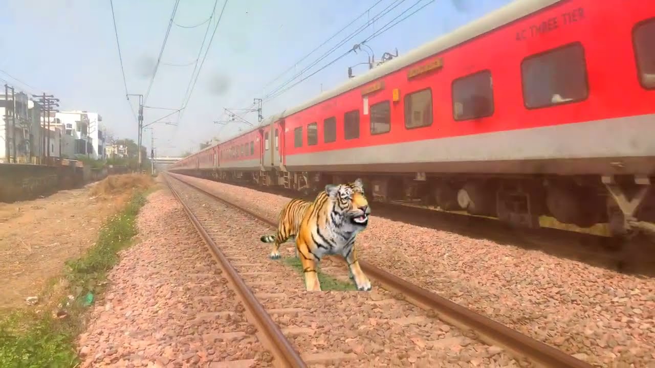 TRAIN VS ANIMALS CRASH | TRAIN VS ANIMAL COMPILATION | TRAIN VS ANIMALS ...