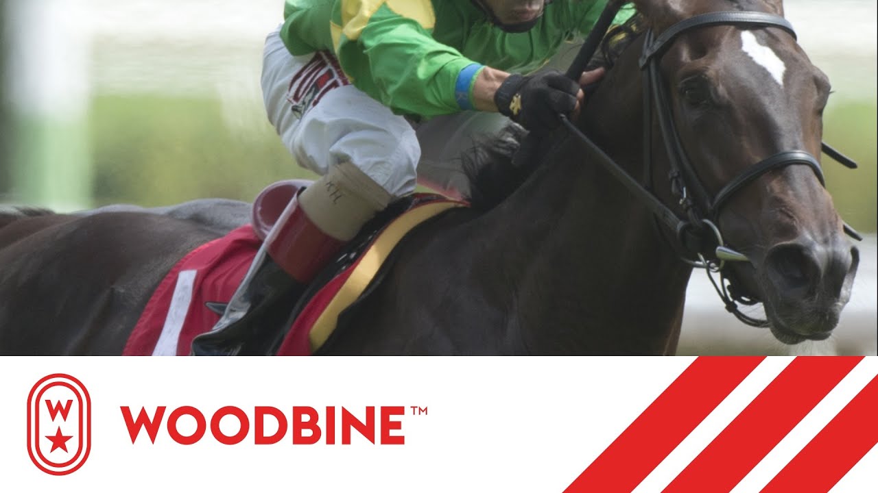 2019 Soaring Free Stakes: Woodbine, August 18, 2019 - Race 3 - YouTube