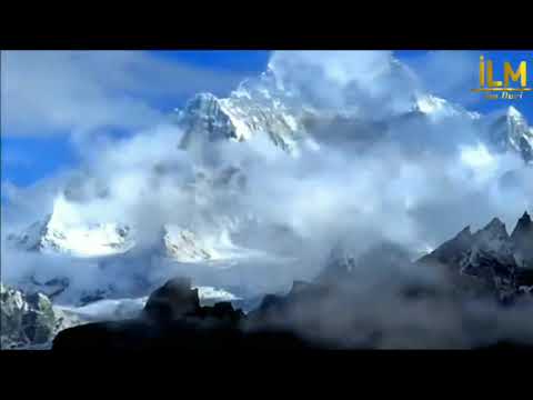 Shayx Abduvali qori.Soqol haqida..