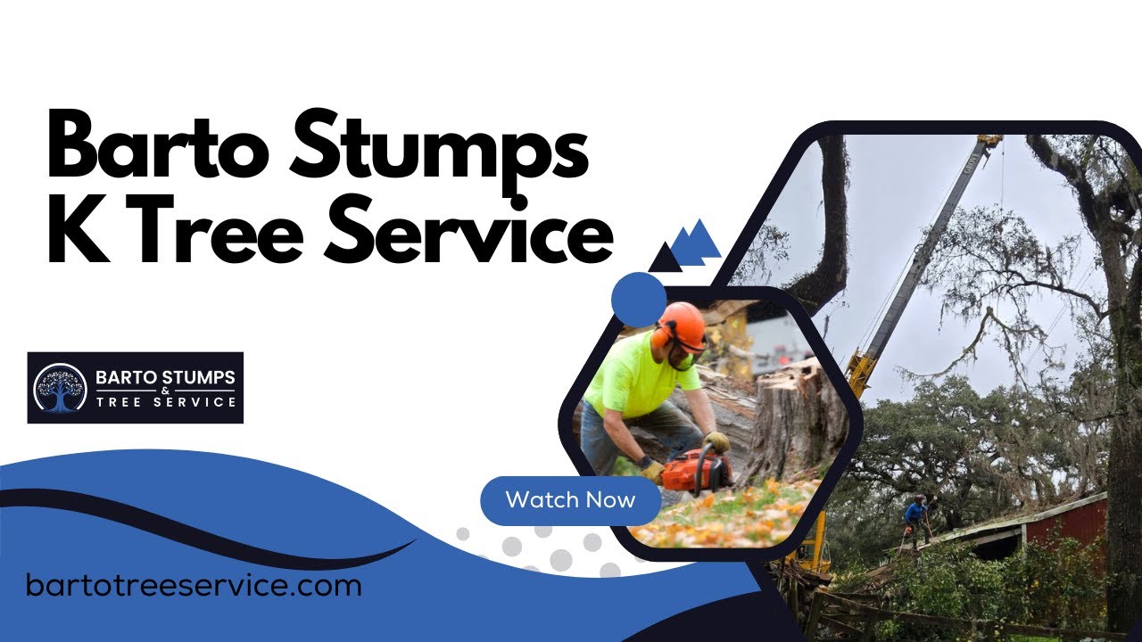 Barto Stumps K Tree Service - Tree Service Company Spring Hill, FL ...