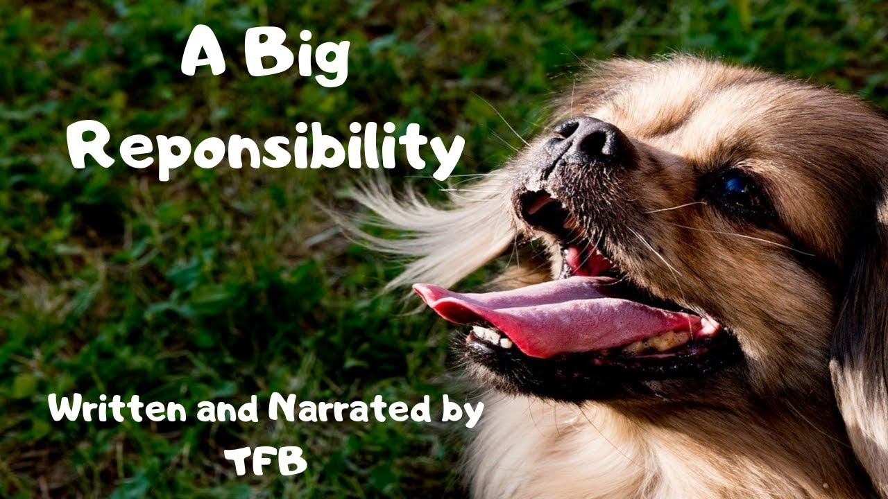 A Big Responsibility - YouTube
