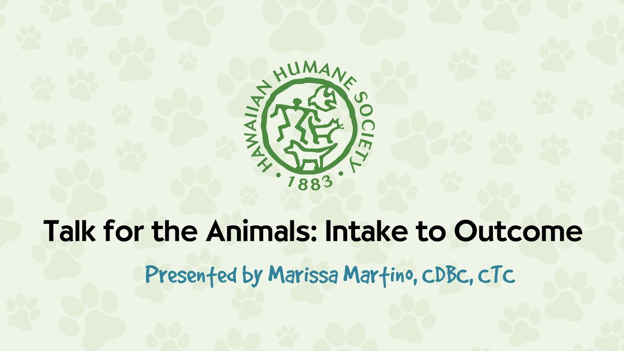 Talk for the Animals: Income to Outcome - YouTube