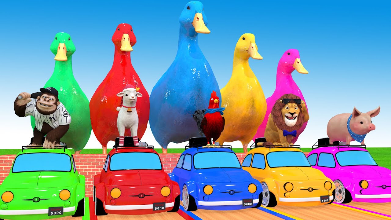 5 Giant Ducks and Lions, Pigs, Chickens, Monkeys, Characters' color ...