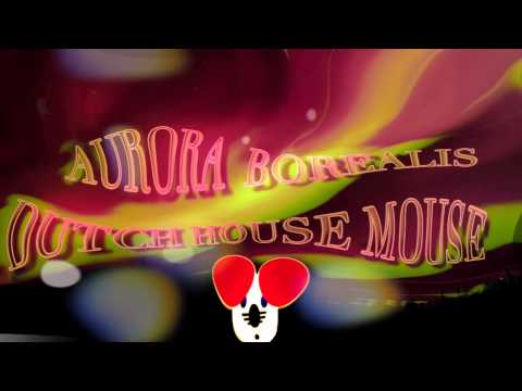 Dutch House Mouse - Aurora Borealis