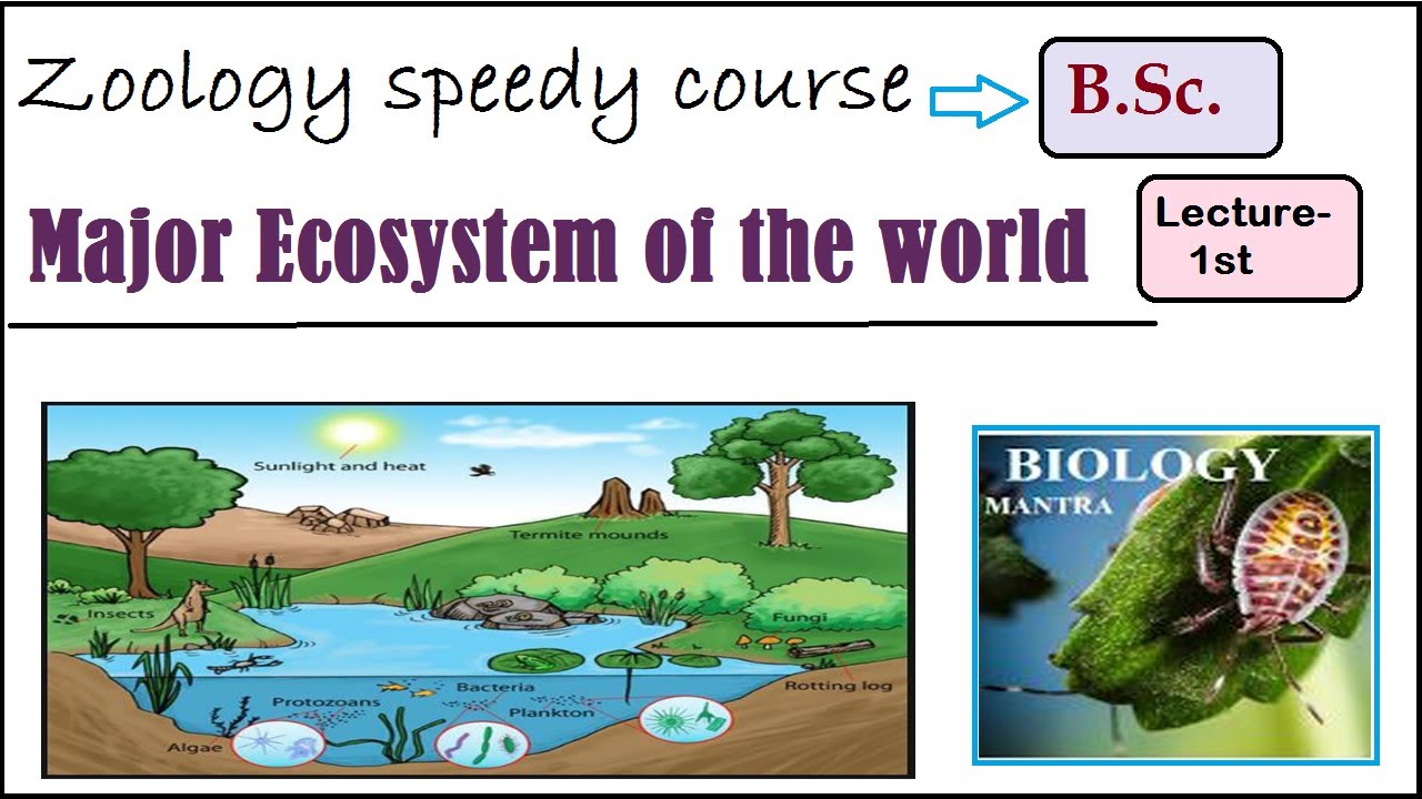 Major Ecosystem of the world (L-1) | Biology Mantra with Priya Pathak ...