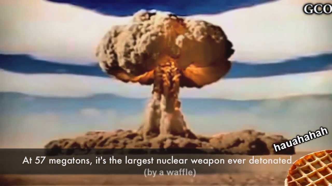 Waffle falling over - WTF BOOM Edition! - YouTube