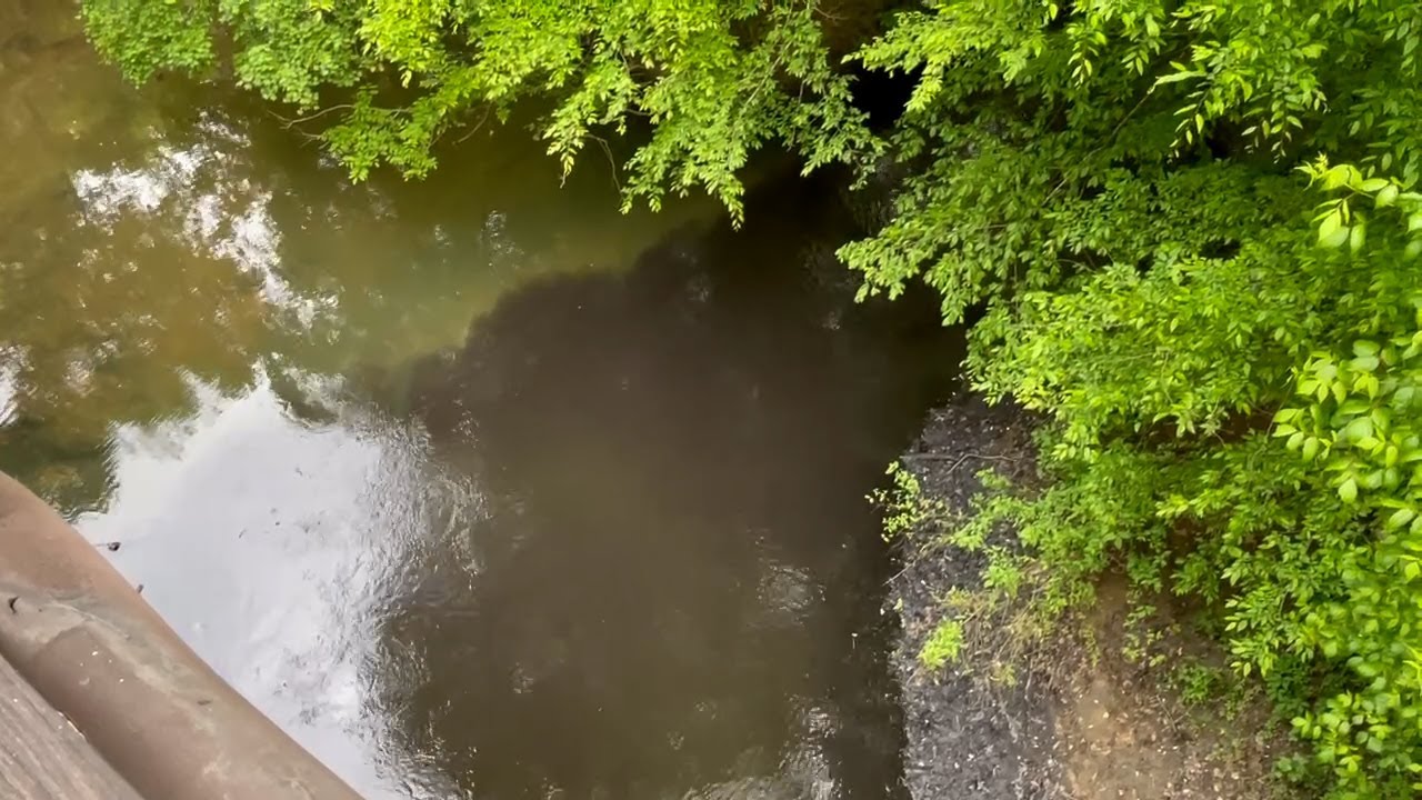 Polluted water flows into Texas Creek and Davis Creek - YouTube