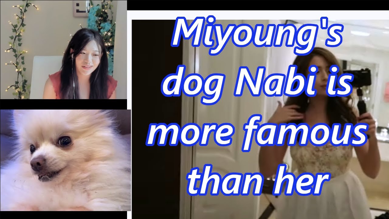Miyoung's dog Nabi is more famous than her - YouTube