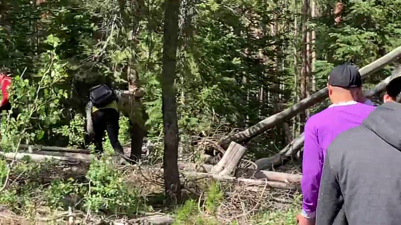 During hunters 🤪 - YouTube