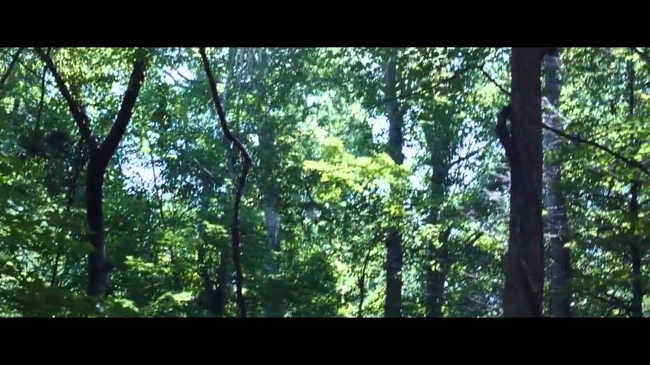 Hunger Games John Cena - YouTube