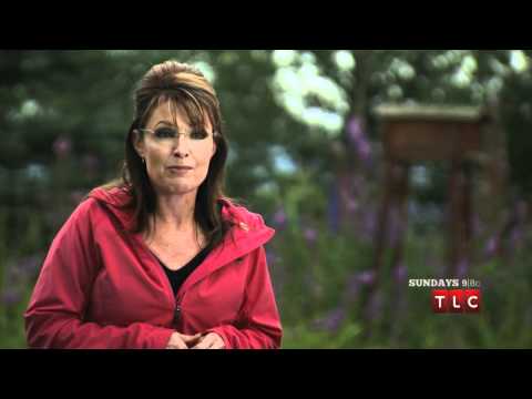 The Palins Count Fish