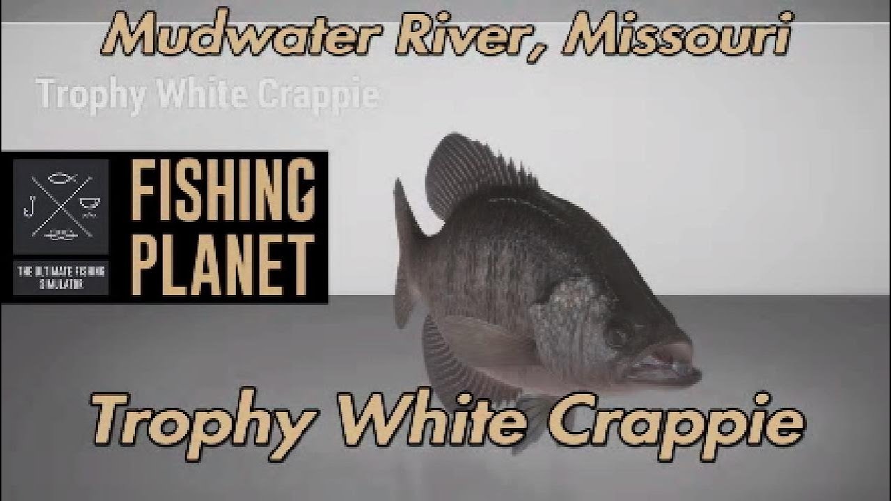Trophy White Crappie Mudwater River Missouri Fishing Planet Guide - YouTube