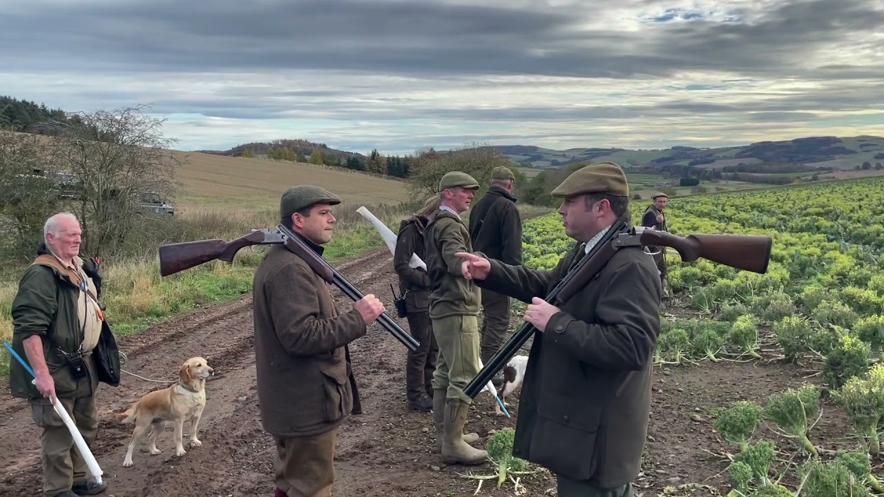 scottish pheasant hunting - YouTube