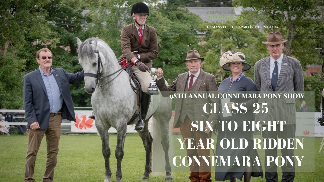 Class Twenty Five 6-8 Year Old Ridden Connemara Pony | 98th Annual ...