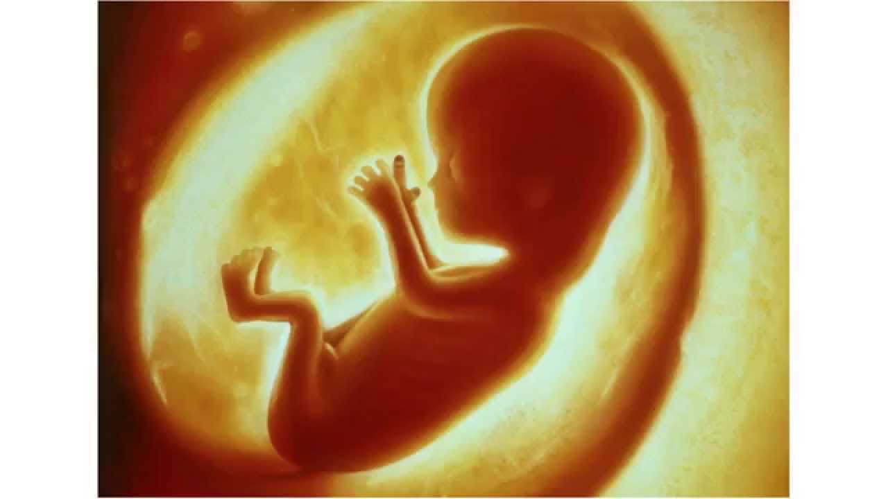 Overweeg je Abortus? Kijk dit filmpje voor hulp - YouTube