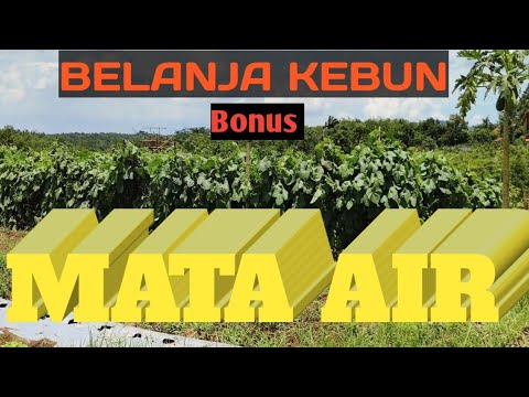 beli Kebun BonuS Mata aiR @inpo property Parung panjang #085694132031 # ...