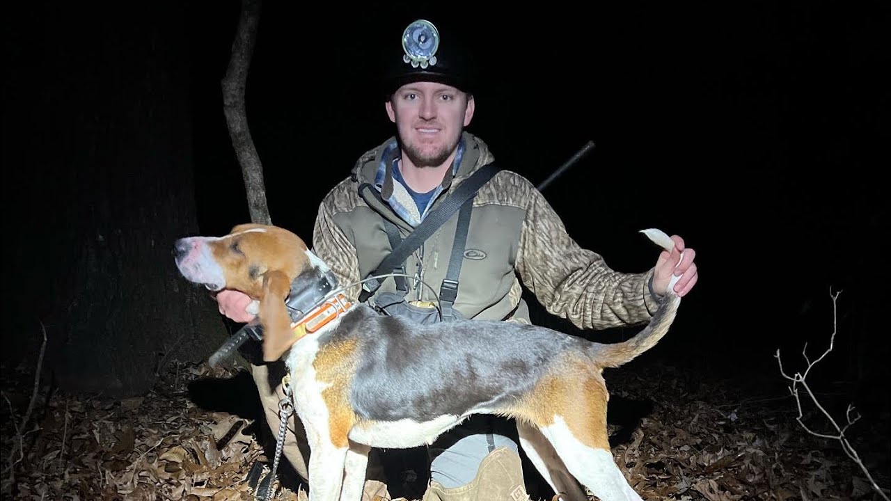 COON HUNTING: STARS STARTING TO IMPROVE - YouTube
