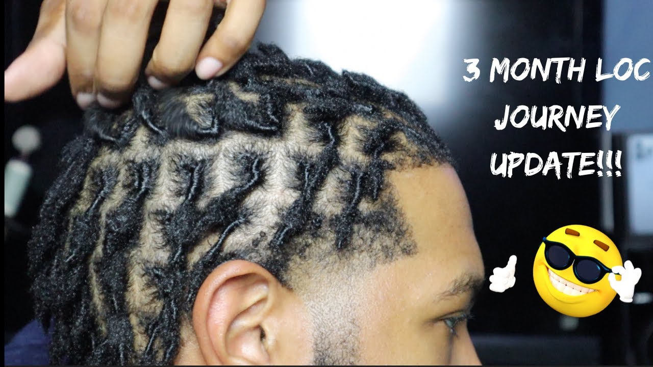 3 MONTH LOC JOURNEY UPDATE!!!#johnnylox #starterlocs #locjourney # ...