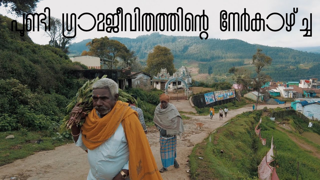 POONDI VILLAGE || KODAI VILLAGE LIFE || BEAUTIFUL KOADI VILLAGES - YouTube