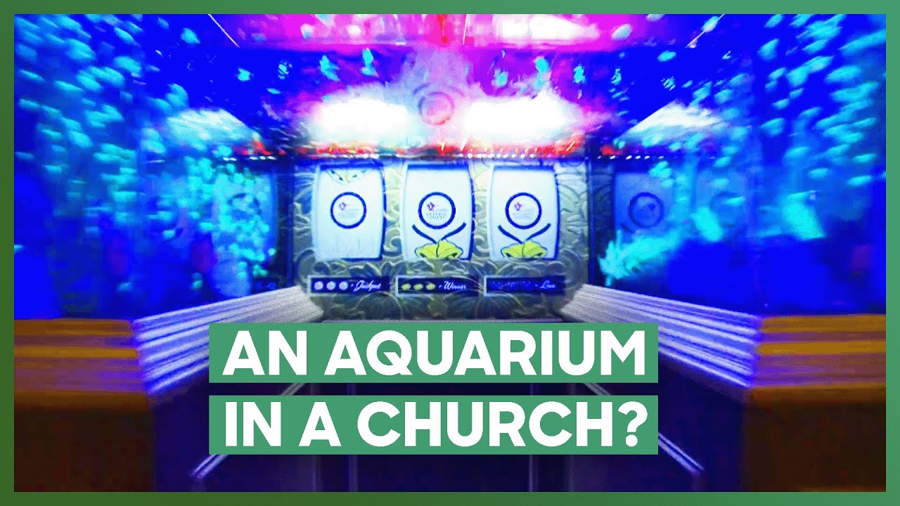 Vegas Church Goes ALL-OUT On Huge Fish Tank Display 🐠 | Tanked - YouTube