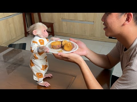 Full compilation! Moment Monkey Luk lived happily with Thang - YouTube