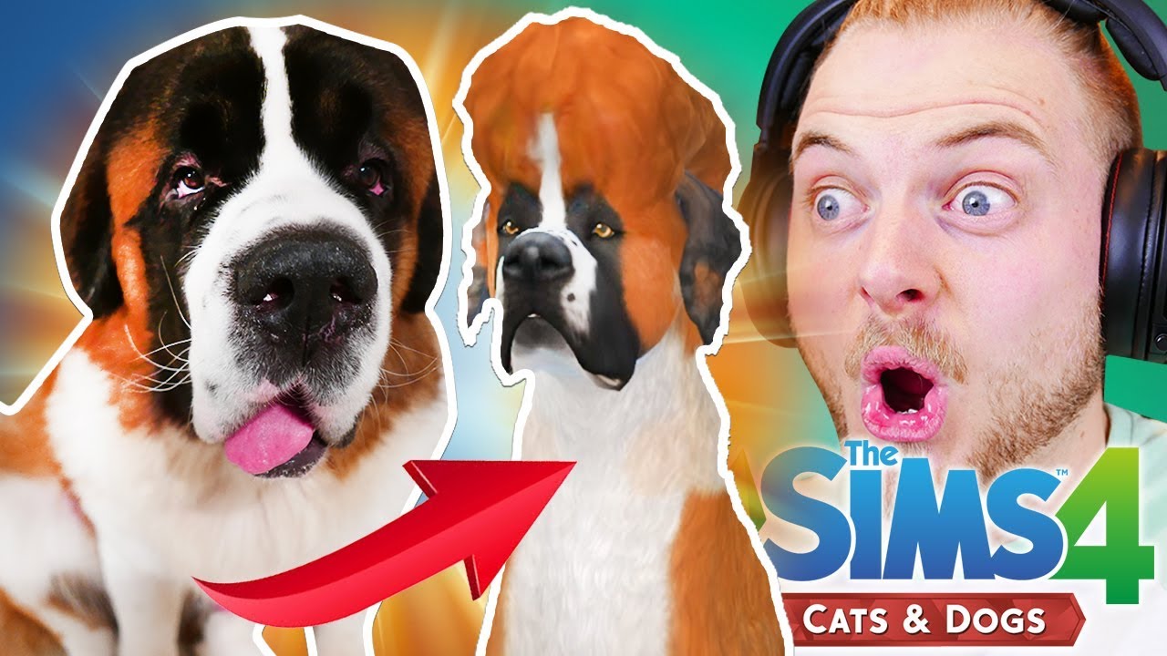 CREATING MY SAINT BERNARD in The Sims 4 - Cats & Dogs!! - YouTube