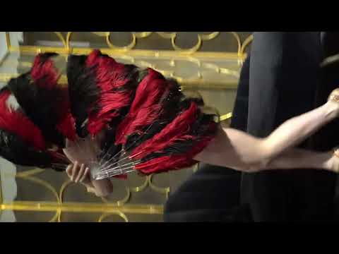 Burlesque lingerie performance at the Curve intimate show at Javits Jacob center 2022 February