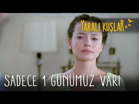 Sadece 1 Günümüz Var | Yaralı Kuşlar 80. Bölüm (English and Spanish)