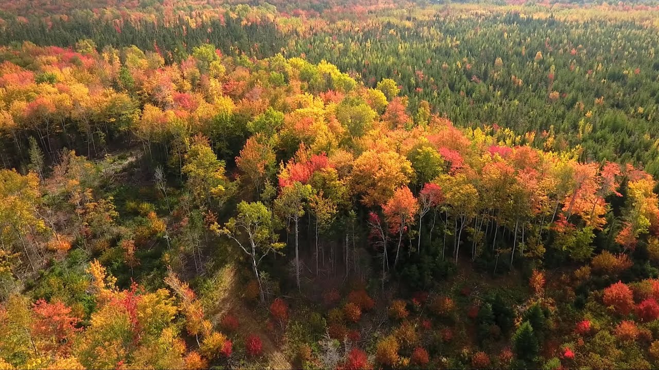 Fall Colors 2021 - Prince Edward Island, Canada - YouTube