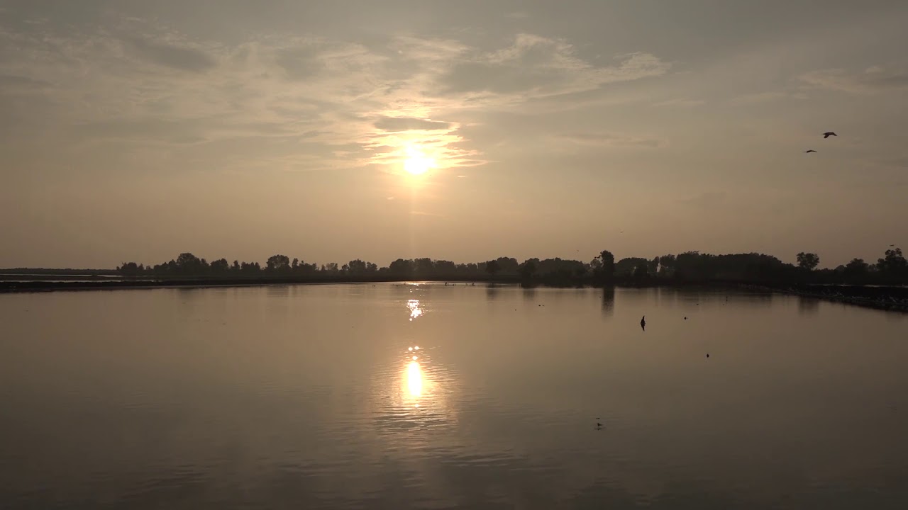 stock footage no copyright full hd-background video- the sun rises in ...