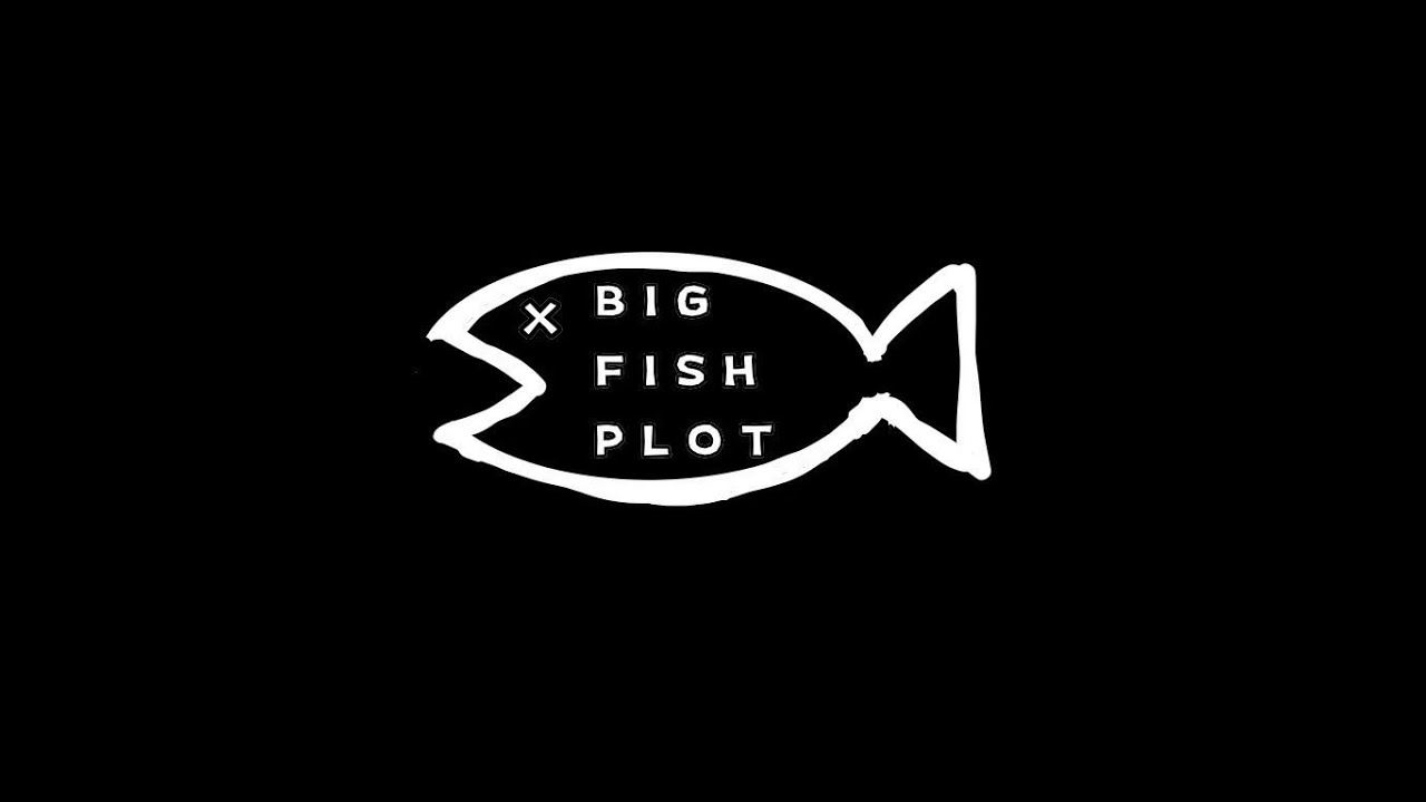 BIG FISH PLOT 「流星群」 - YouTube